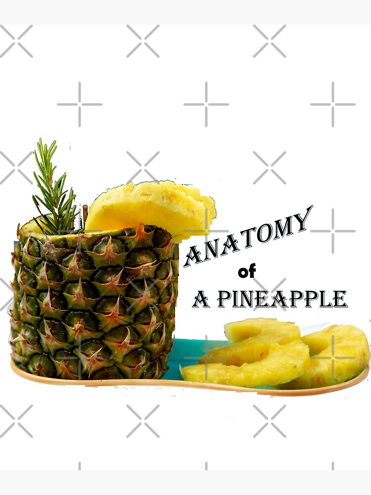 "Anatomy Of A Pineapple" Poster for Sale by Ijjigjannat | Redbubble