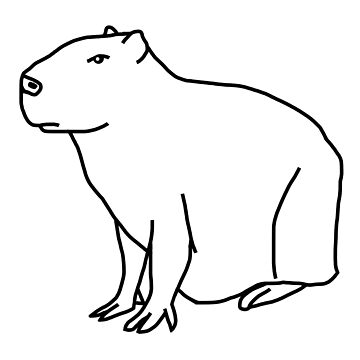 "Capybara Minimal Line Drawing" Poster for Sale by ellenhenry | Redbubble