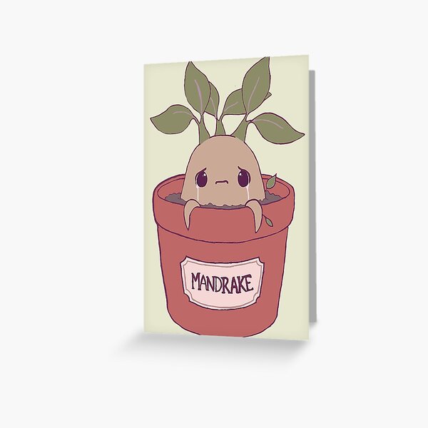 "Cute Potter Mandrake - spell of magician magic and wizard wizarding ...