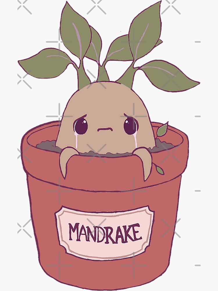 "Cute Potter Mandrake - spell of magician magic and wizard wizarding ...