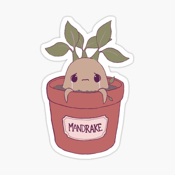 "Cute Potter Mandrake - spell of magician magic and wizard wizarding ...