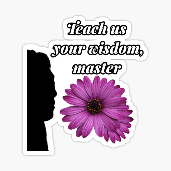 "Teach us your wisdom, master" Sticker for Sale by quindtusirina ...