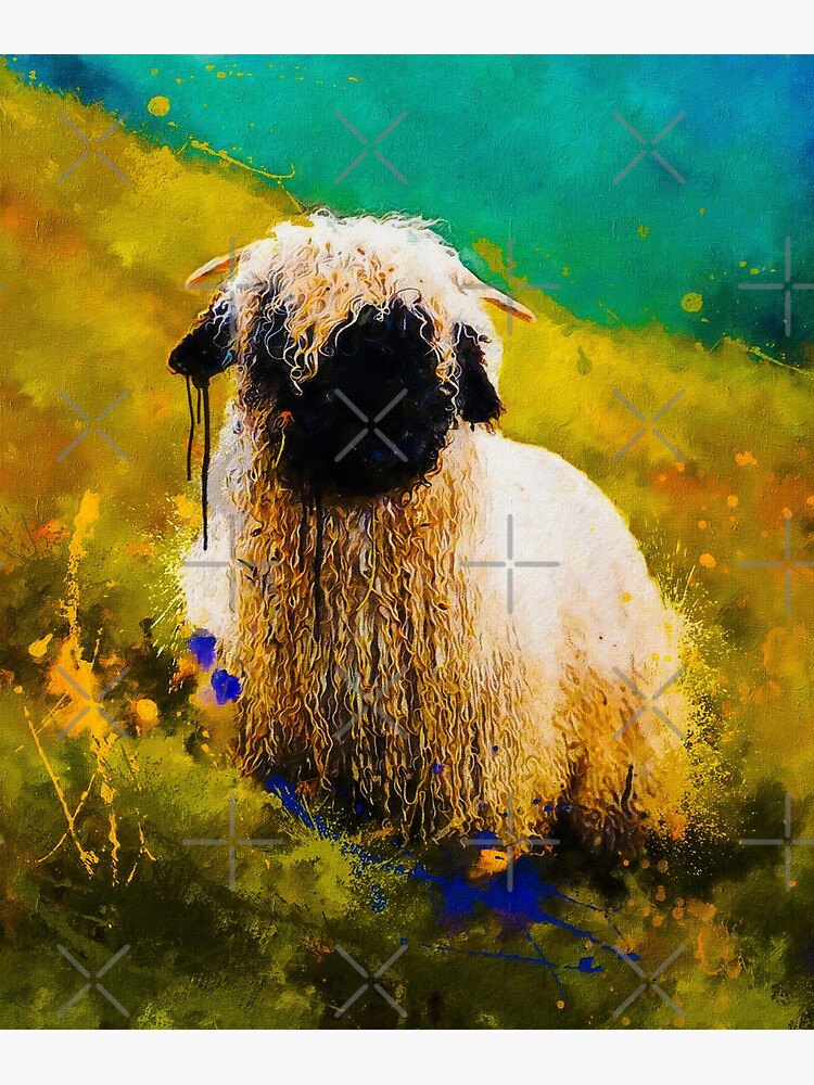 Swiss Valais Blacknose Sheep, Fluffy Valais Blacknose Sheep Art, Cute ...