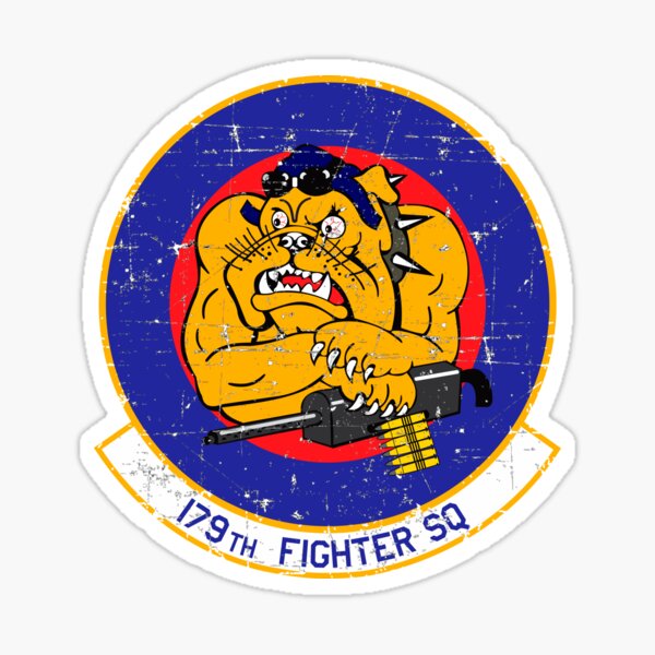 "USAF - 179th Fighter Squadron - Grunge Style" Sticker for Sale by ...