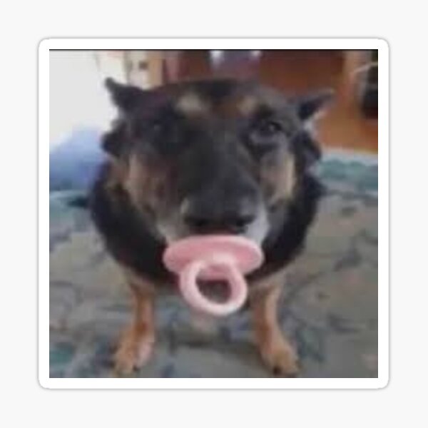 "Dog with da binky" Sticker for Sale by KlutzTheKing | Redbubble