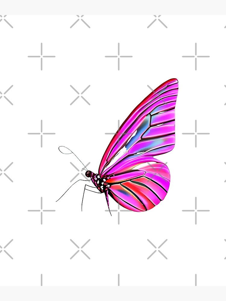 "Most beautiful butterfly" Poster for Sale by CorneliusDesign | Redbubble