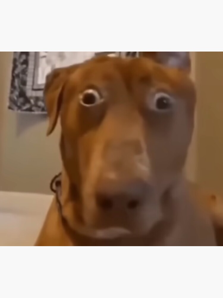 "goofy ah dog" Sticker for Sale by DropDownWidget | Redbubble