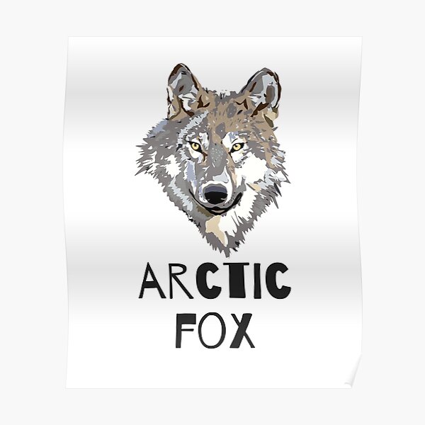 "arctic fox" Poster for Sale by ChachiArts | Redbubble