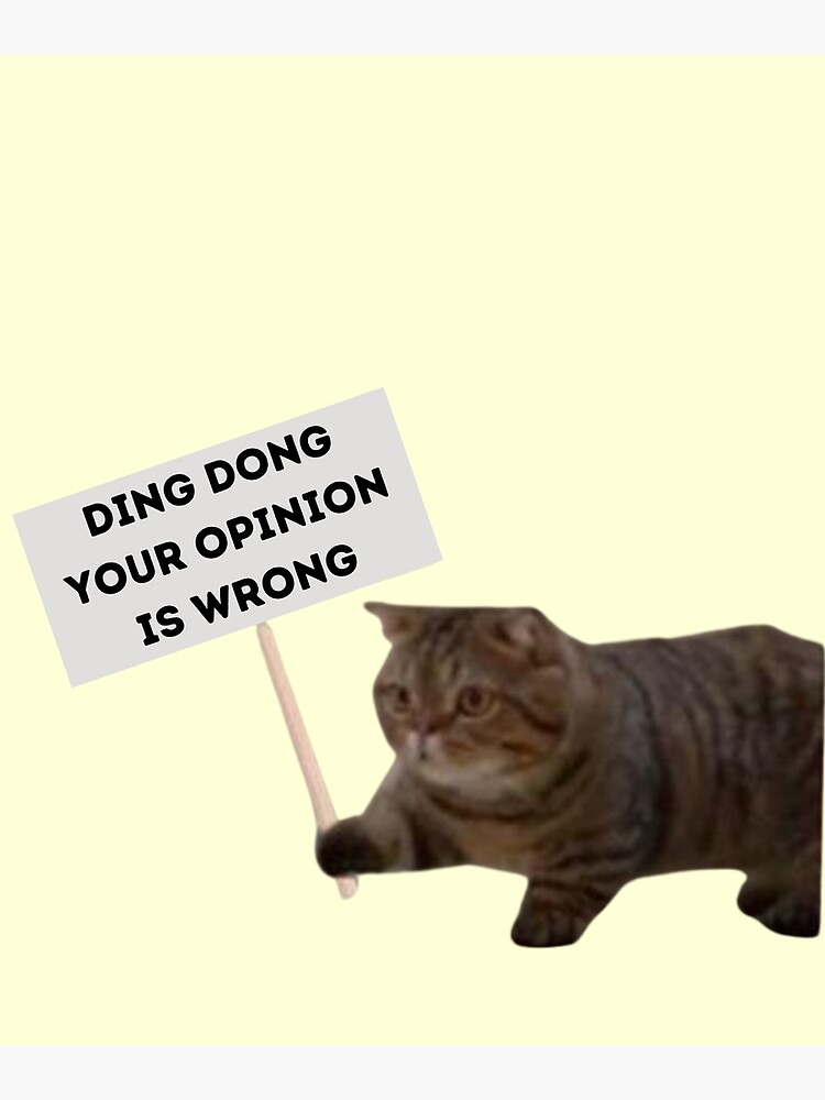 "Ding Dong Your Opinion Is Wrong Funny Cute Cat Holding a Sign Meme ...