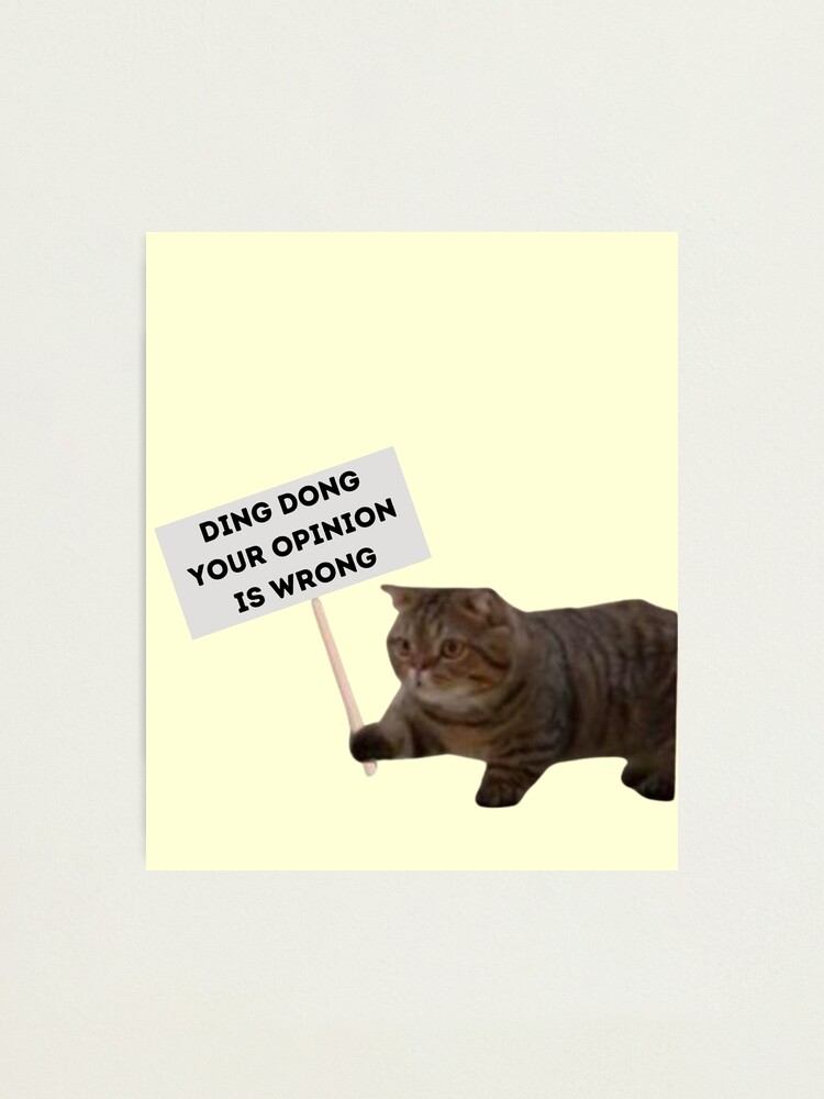 "Ding Dong Your Opinion Is Wrong Funny Cute Cat Holding a Sign Meme ...