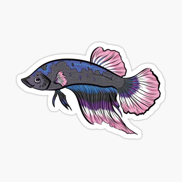 "Genderfluid Pride Betta Fish" Sticker for Sale by SilasSG | Redbubble