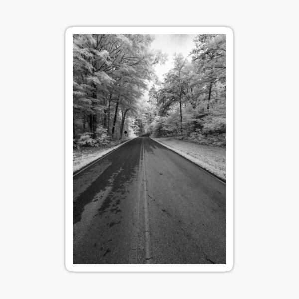"Forested road in infrared" Sticker for Sale by adamnixon | Redbubble