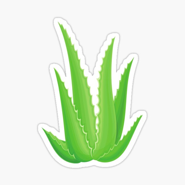 "Aloe vera Plant " Sticker for Sale by 2rose | Redbubble