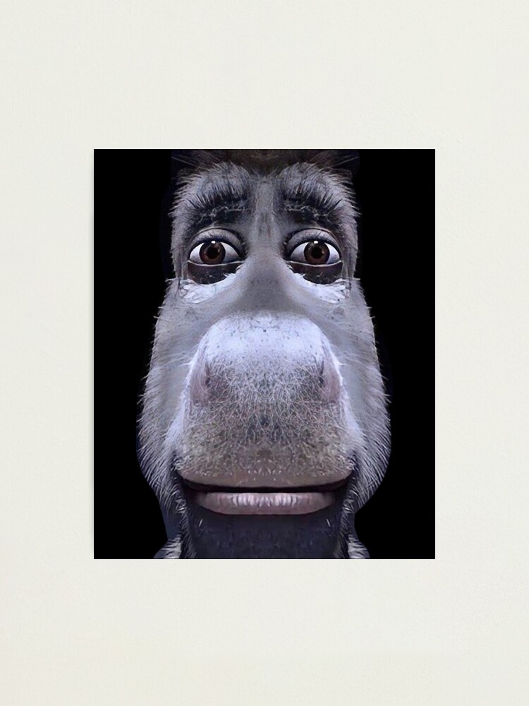 "Donkey casually looking down on you MEME" Photographic Print for Sale ...