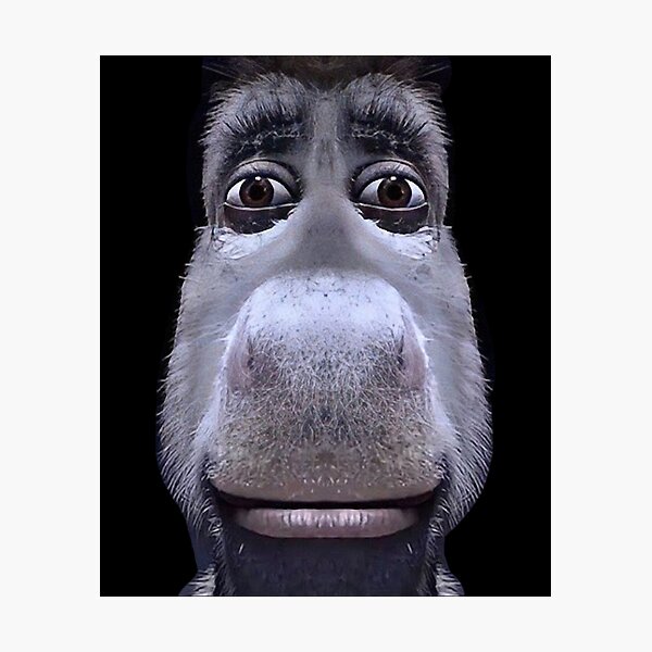 "Donkey casually looking down on you MEME" Photographic Print for Sale ...