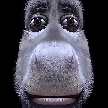 "Donkey casually looking down on you MEME" Greeting Card for Sale by ...