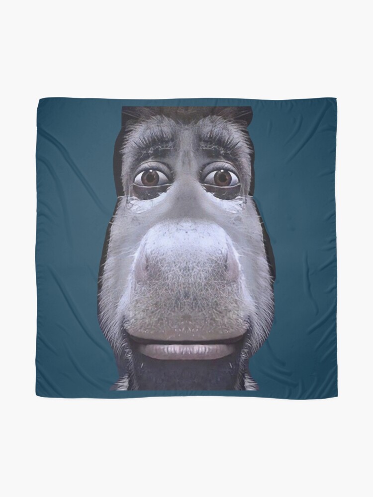 Donkey Scarf Memes 100 Donkey Memes Ideas | Donkey, Funny, Cute Donkey