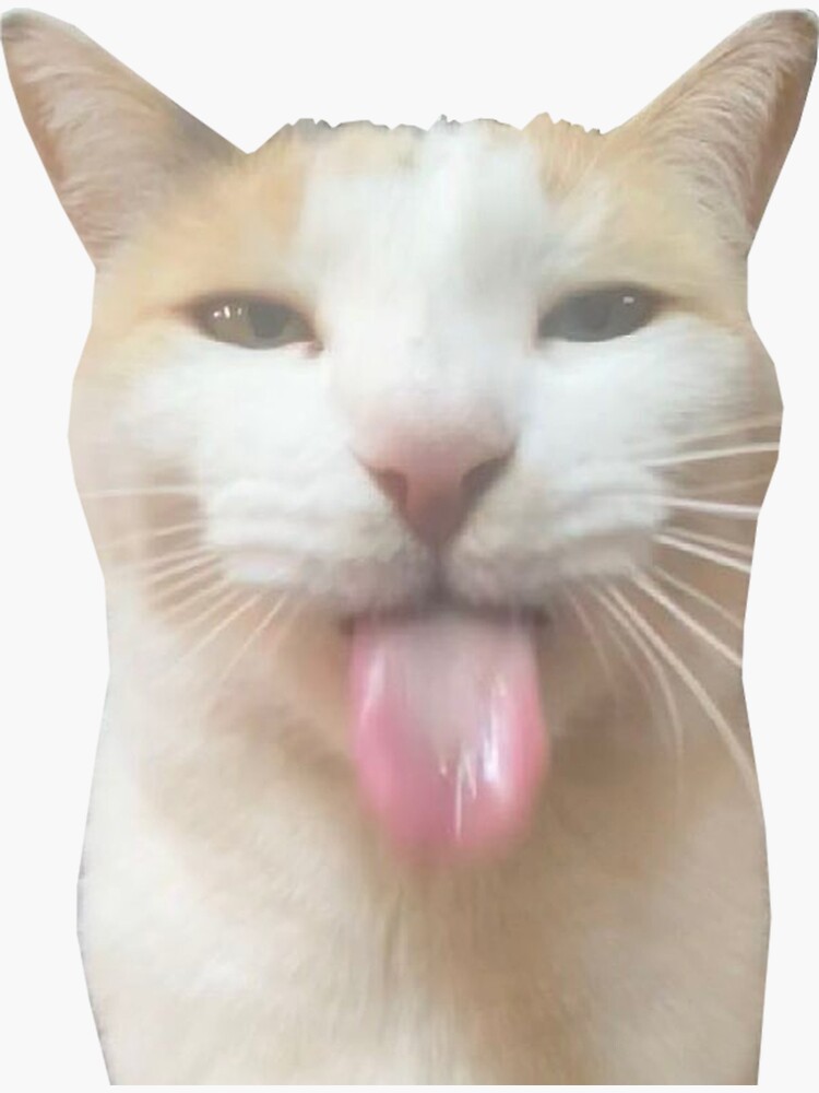 Cat Sticking Out Tongue Meme _ Cat Sticking Out Meme – KKSURC