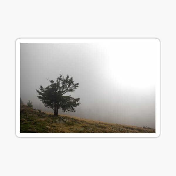 "Pretty Foggy" Sticker for Sale by davidd7 | Redbubble