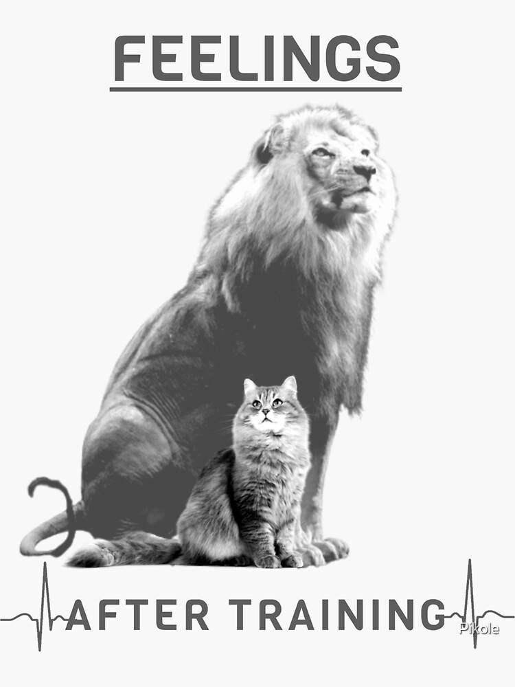 "Athletic Training Memes " Sticker for Sale by Pikole | Redbubble