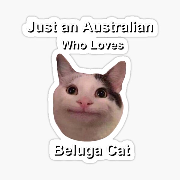 "Just an Australian Who Loves Beluga Cat" Sticker for Sale by mo91 ...
