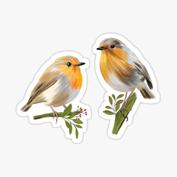 "Robins And Berries " Sticker for Sale by Fezzyboo | Redbubble