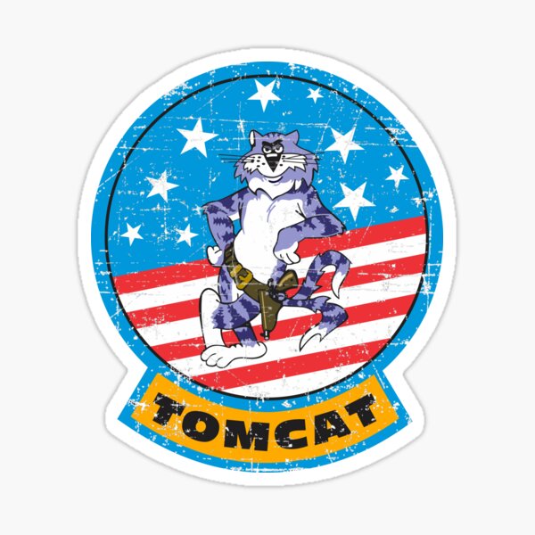 "F-14 Tomcat - Grunge Style" Sticker for Sale by TomcatGypsy | Redbubble