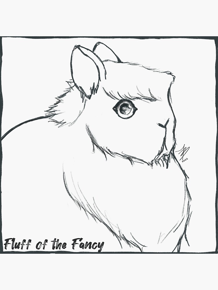 "Jersey Wooly - Messy Sketch - Fluff of the Fancy" Sticker for Sale by PumpkinPiArt | Redbubble
