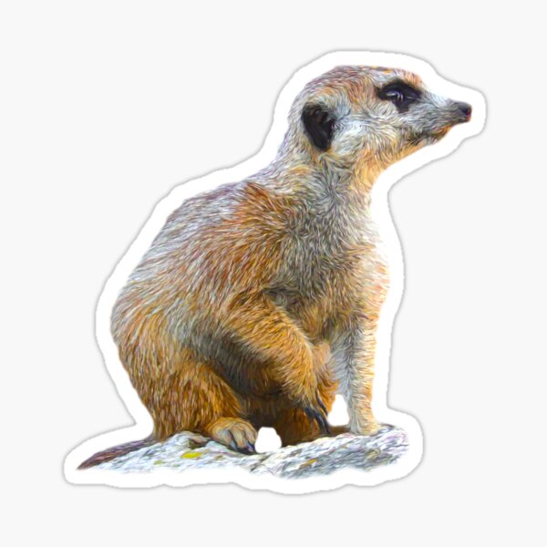 "Meerkat" Sticker for Sale by Guardi71 | Redbubble
