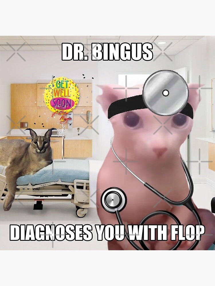 "Dr. Bingus and Floppa" Poster for Sale by squamishh | Redbubble