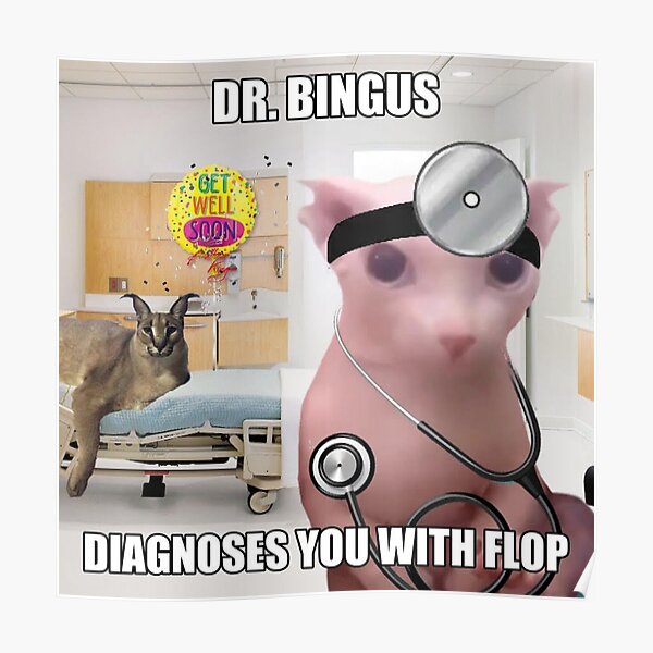 "Dr. Bingus and Floppa" Poster for Sale by squamishh | Redbubble