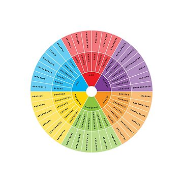 "Wheel of Emotions + Feelings | Rainbow + Monochrome on White | Wilcox ...