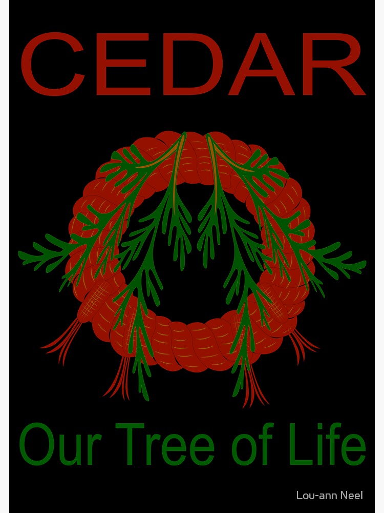 "Cedar - Our Tree of Life" Sticker for Sale by LNeel | Redbubble