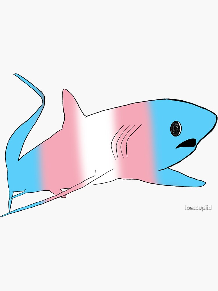 "transgender thresher shark " Sticker for Sale by lostcupiid | Redbubble