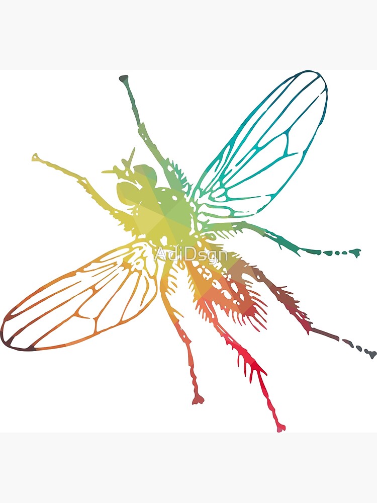 "Rainbow fly " Poster for Sale by AdiDsgn | Redbubble