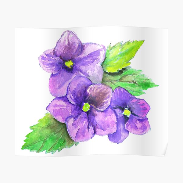 "Three Violets" Poster by Sorazal | Redbubble