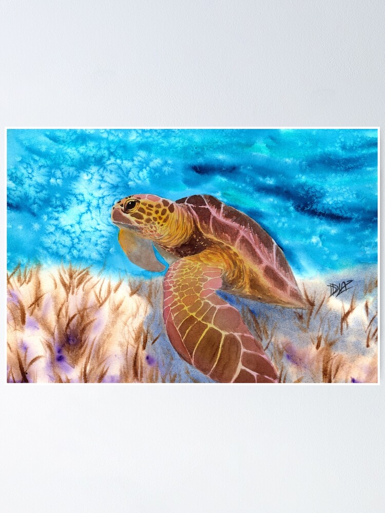 "Sea Turtle" Poster for Sale by WaterStrokesArt | Redbubble