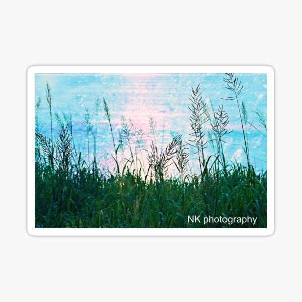 "beauty in nature" Sticker for Sale by Nichole1k | Redbubble