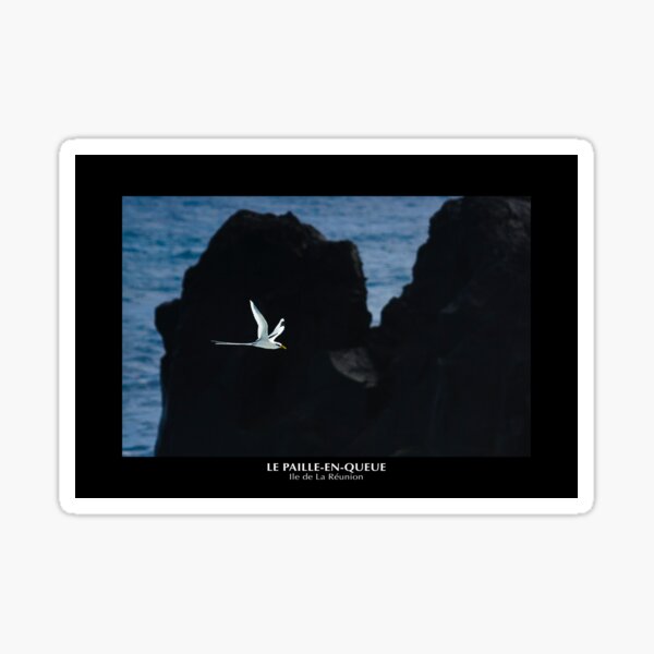 "La Paille-en-Queue in Reunion Island" Sticker for Sale by gaelfphoto ...