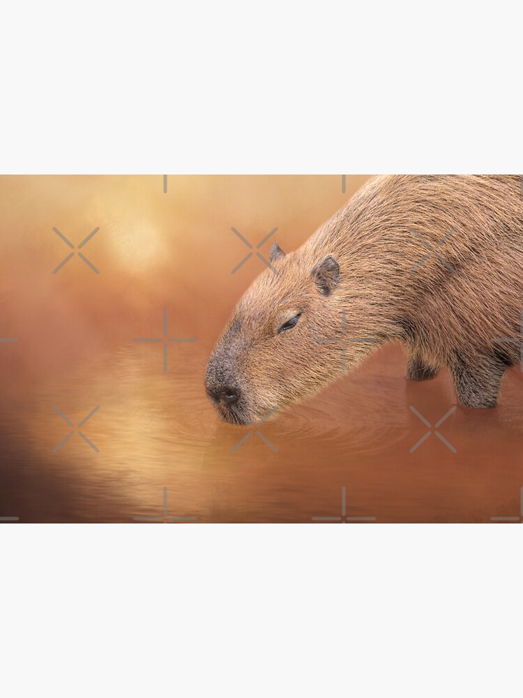 "Drinking Capybara 02" Sticker for Sale by fineart2017 | Redbubble
