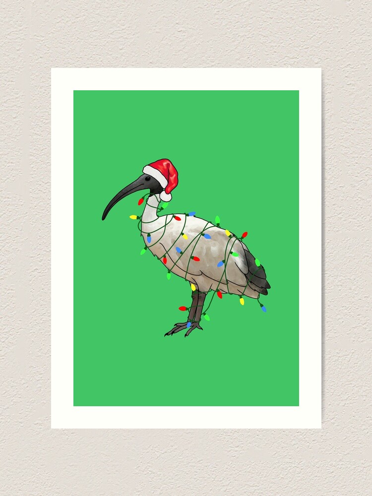 "Extra Festive Bin Chicken" Art Print for Sale by Meowmaddie | Redbubble