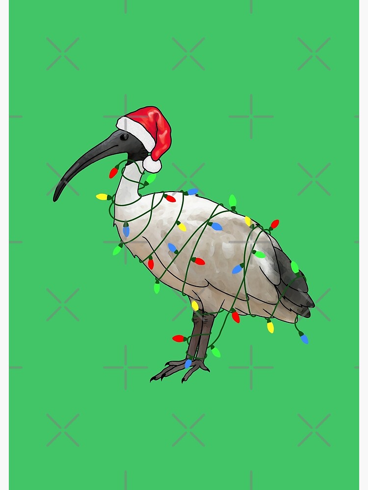 "Extra Festive Bin Chicken" Poster for Sale by Meowmaddie | Redbubble
