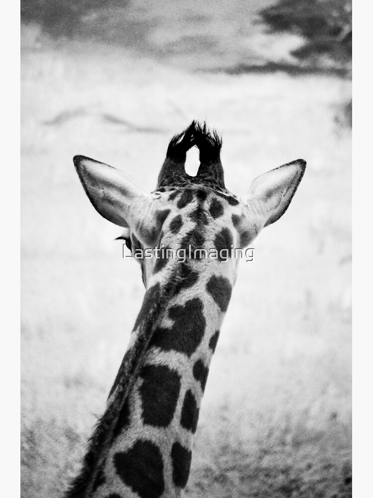 "Geoffrey " Sticker for Sale by LastingImaging | Redbubble