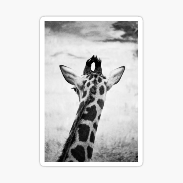 "Geoffrey " Sticker for Sale by LastingImaging | Redbubble