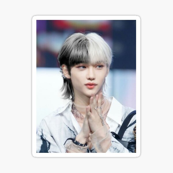 "STRAY KIDS FELIX" Sticker for Sale by VictoriaKorean | Redbubble