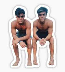 Dolan Twins: Stickers | Redbubble