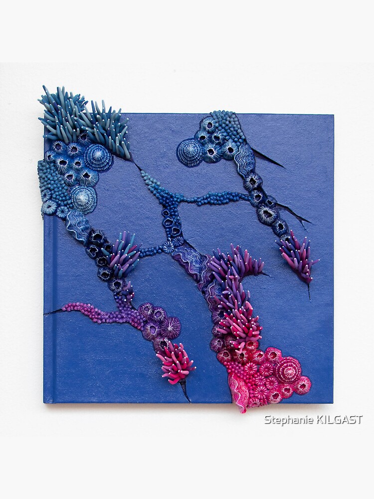 "Blue Rock, Shells and Sea Anemones on Book" Poster for Sale by ...