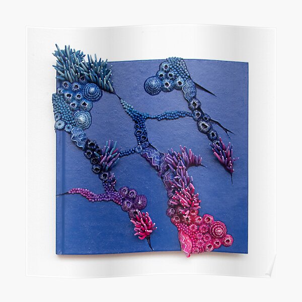 "Blue Rock, Shells and Sea Anemones on Book" Poster for Sale by ...