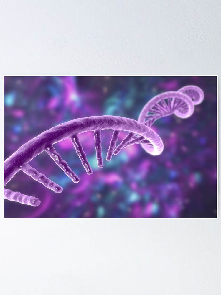 "RNA molecule" Poster for Sale by DrMicrobe | Redbubble