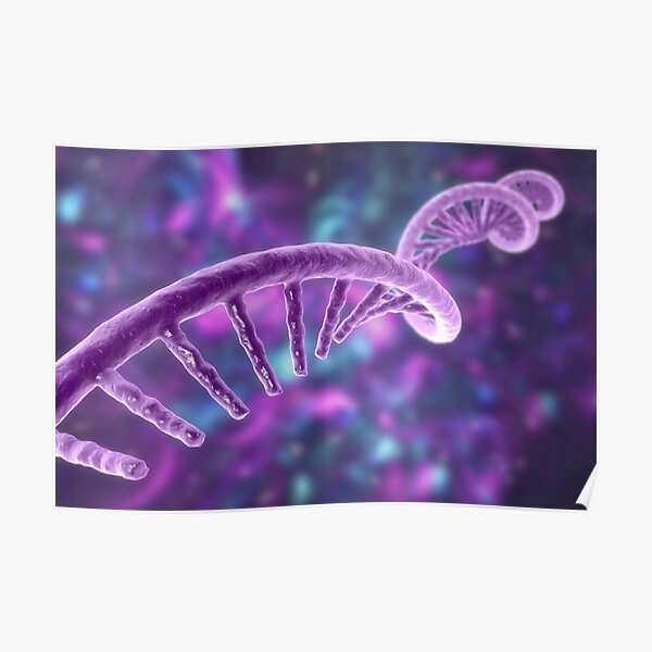 "RNA molecule" Poster for Sale by DrMicrobe | Redbubble